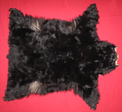 Tanned Complete Black Bear Hides, Furs, Pelts, Skins for sale by www ...